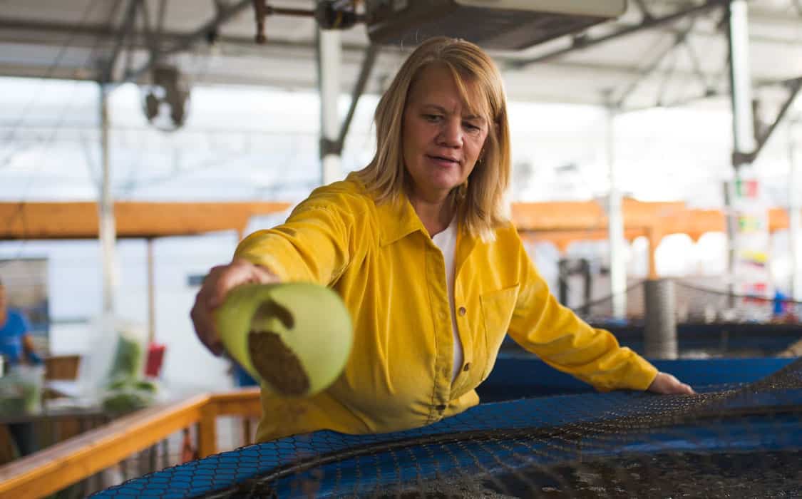 A Wisconsin Fish Frenzy - FarmHer