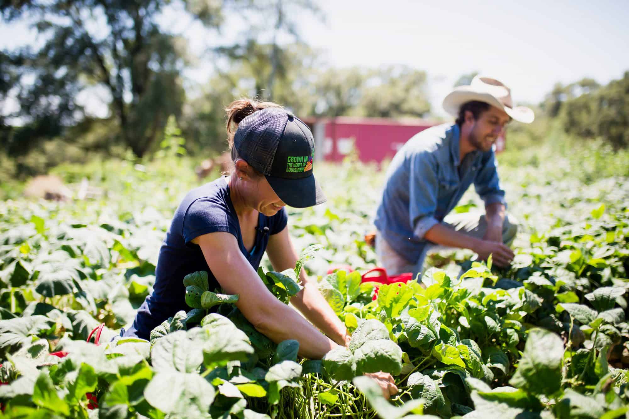 Fresh Produce Matters To Create a Healthy Community - FarmHER + RanchHER