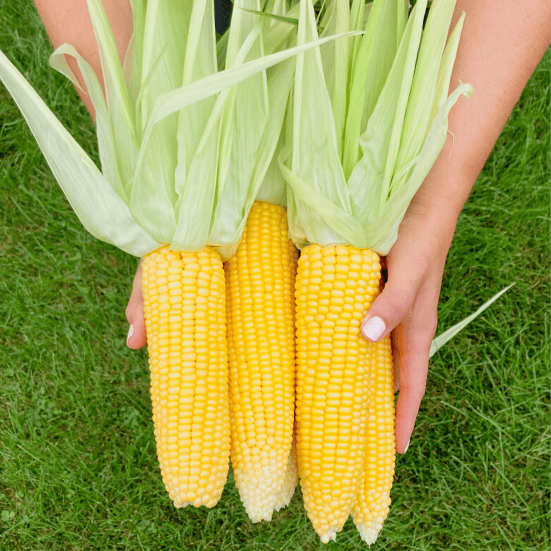 Easy Corn Recipes - FarmHER + RanchHER